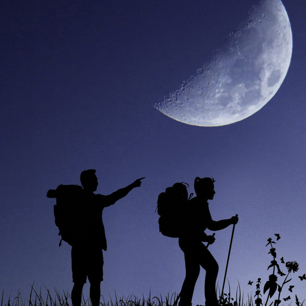 Bush Mill | History | Things To Do - Scott County Tourism